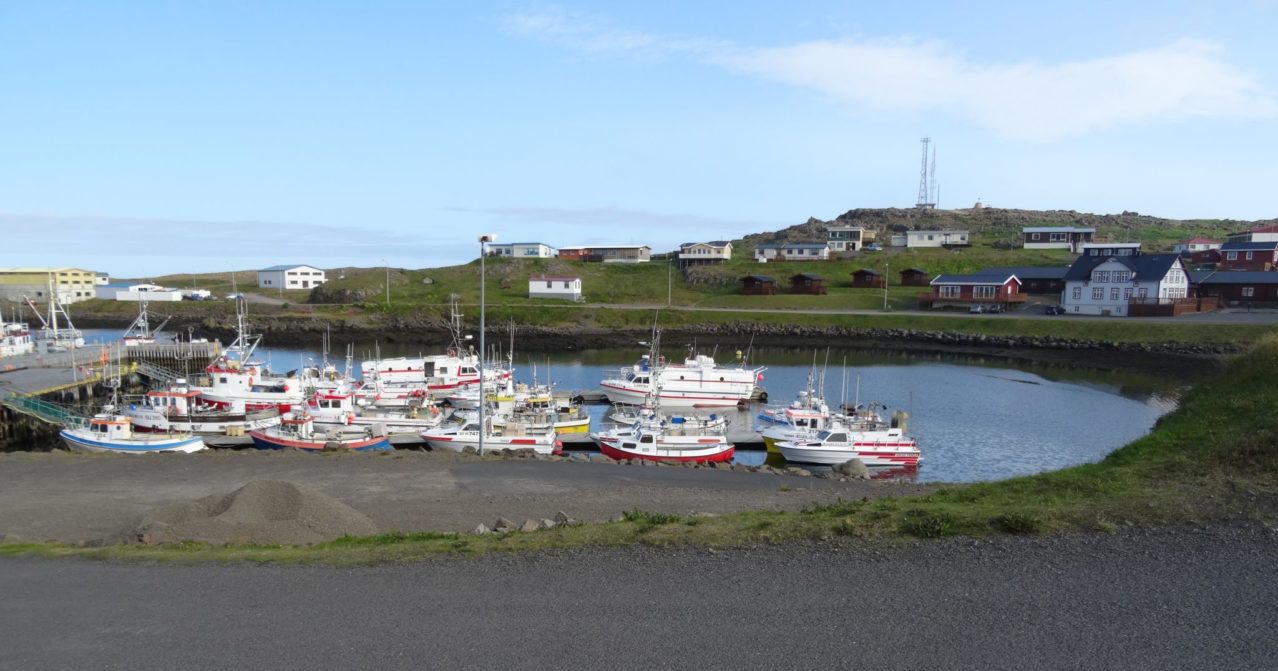 Höfn - Tipps für den Island Urlaub